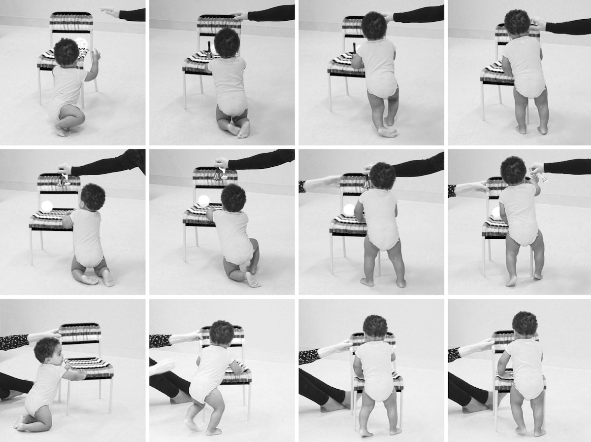 Infant Motor Profile
